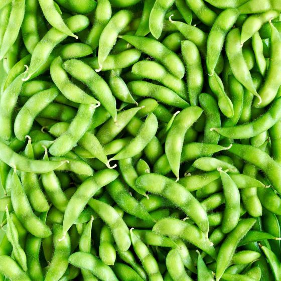 edamame seeds uk